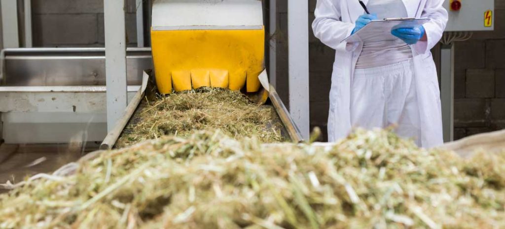 Hemp fiber material sourcing and processing at Bio Fiber Industries